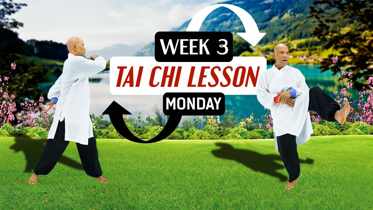 Tai Chi Transformation Challenge